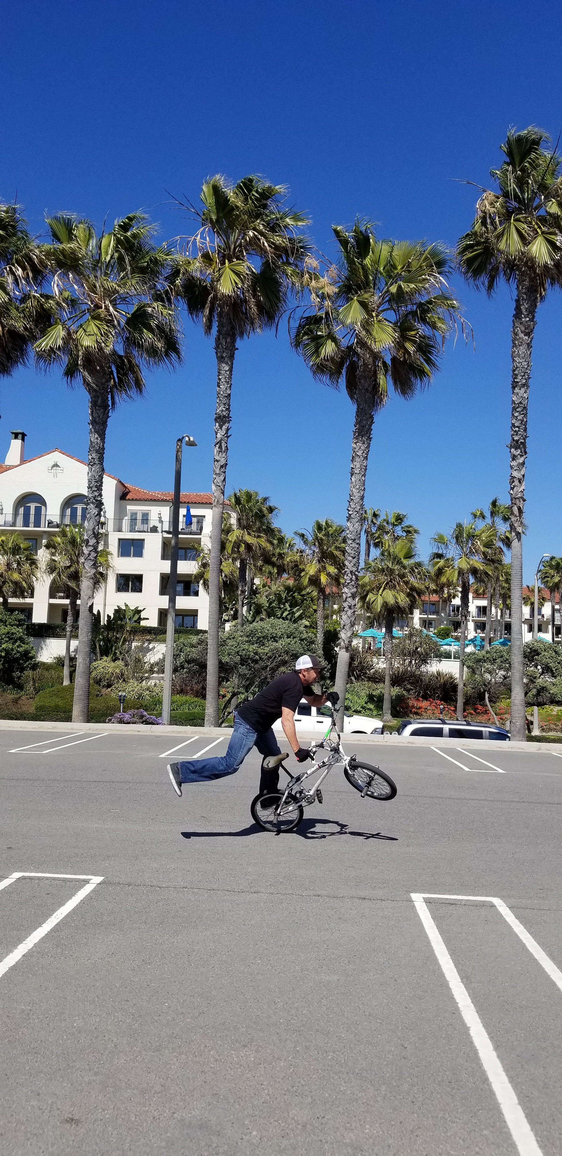 Collections – Rad Designs 1986